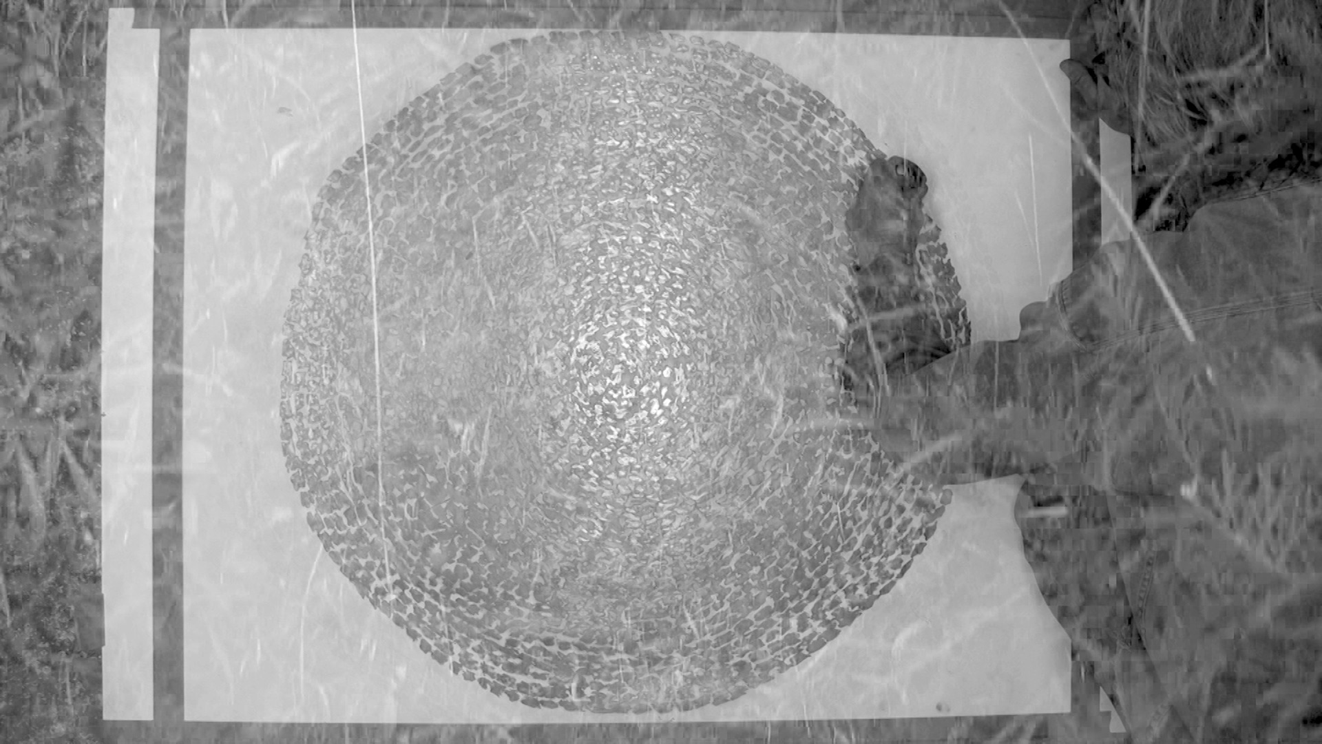 We Are We Come We Go, Ed Janzen, 2023 - Media City Film Festival